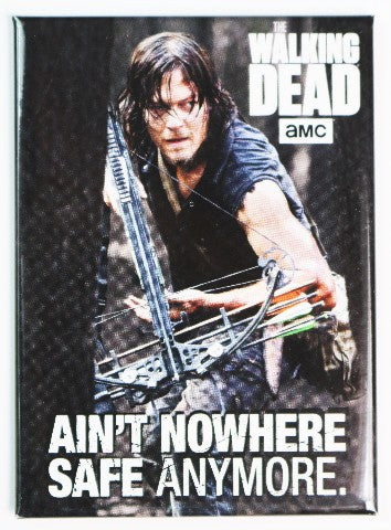 The Walking Dead Daryl Dixon FRIDGE MAGNET Negan Michonne Rick Grimes ...
