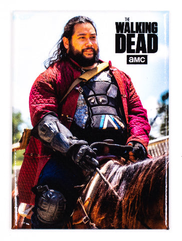 The Walking Dead Jerry FRIDGE MAGNET Rick Grimes Daryl Dixon Negan Car ...